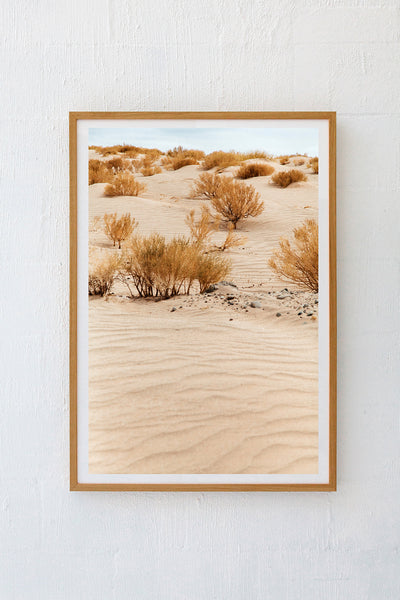 Puna #40 – Pampa - AU